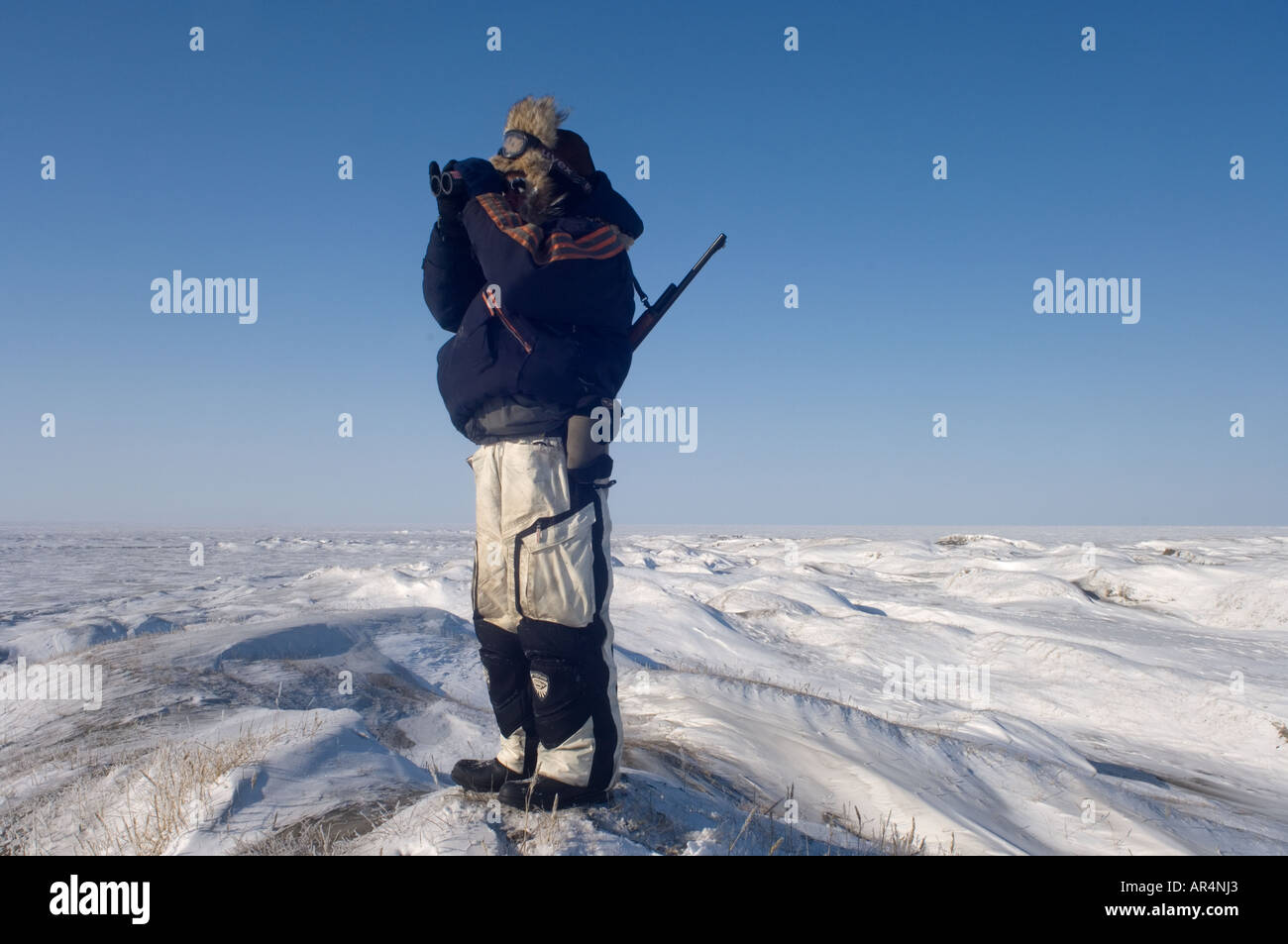 inupiat hunter scouts the landscape for wildlife along the Arctic coast ...