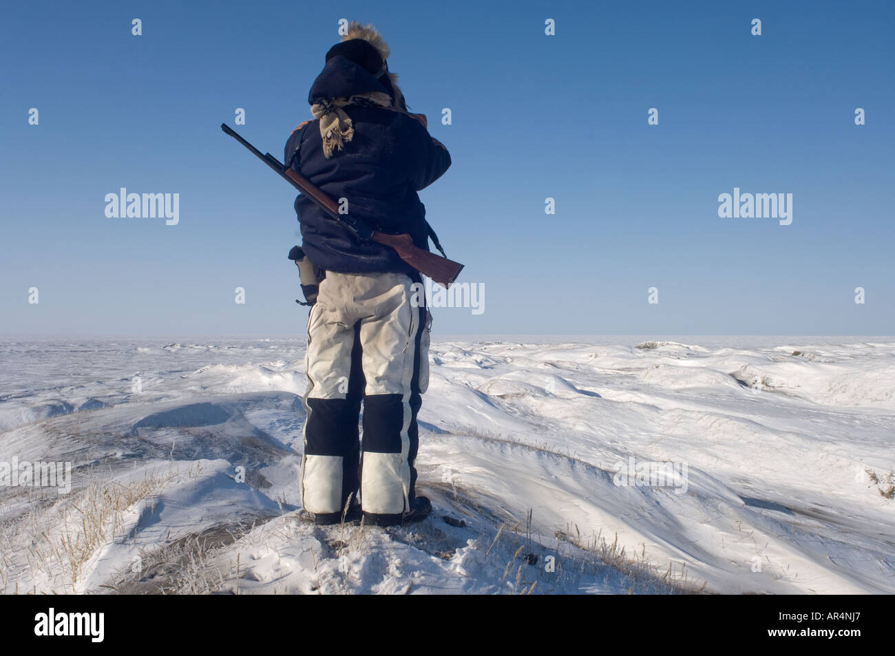inupiat hunter scouts the landscape for wildlife along the Arctic coast ...