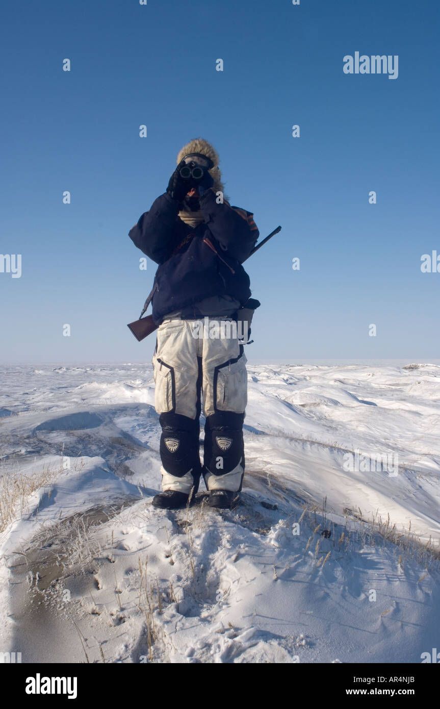 inupiat hunter scouts the landscape for wildlife along the Arctic coast ...