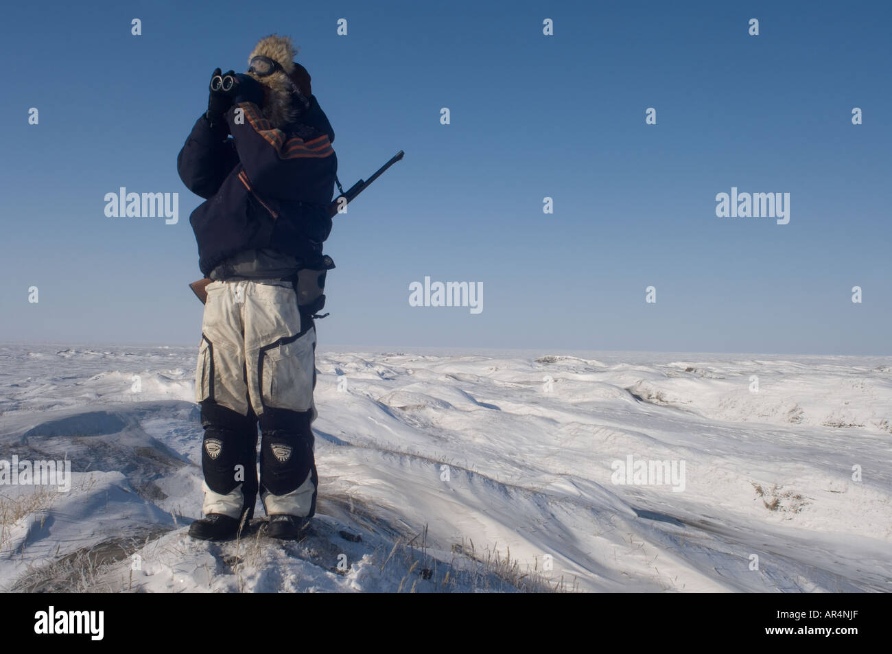 inupiat hunter scouts the landscape for wildlife along the Arctic coast ...