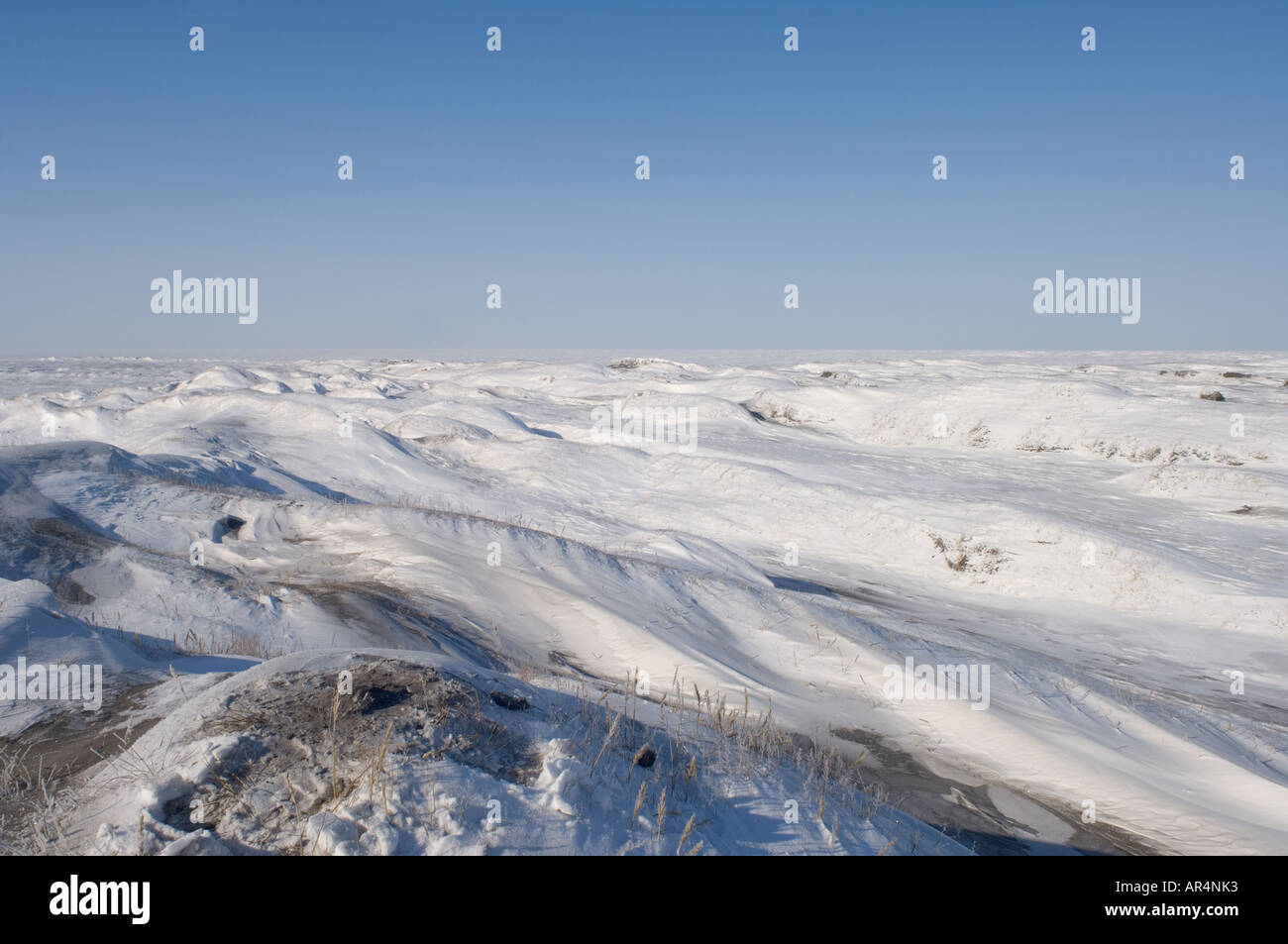 landscape along the Arctic coast eastern Arctic National Wildlife ...