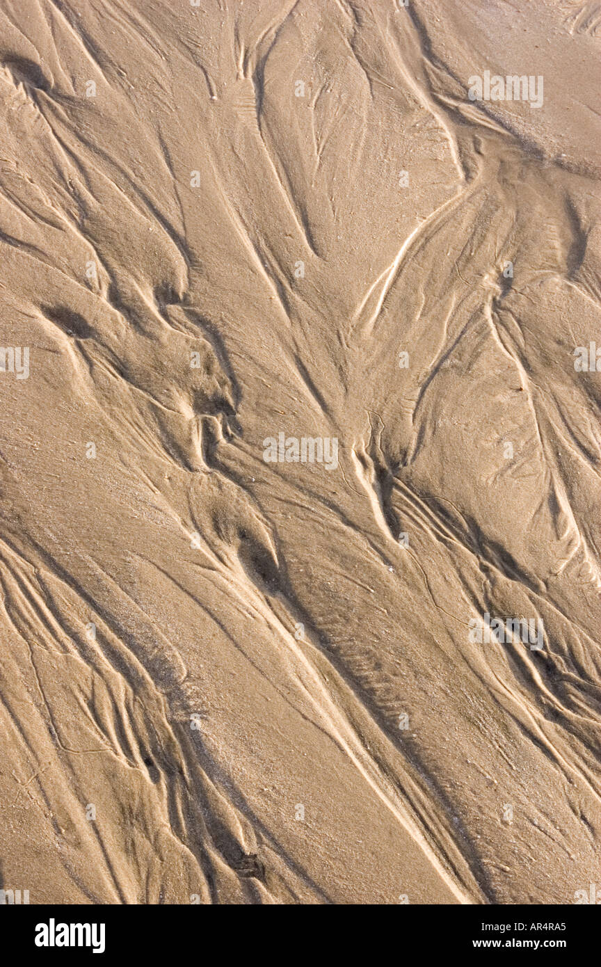 Tidal sand patterns on beach at Playa Miramar Puerto Penasco Sonora ...