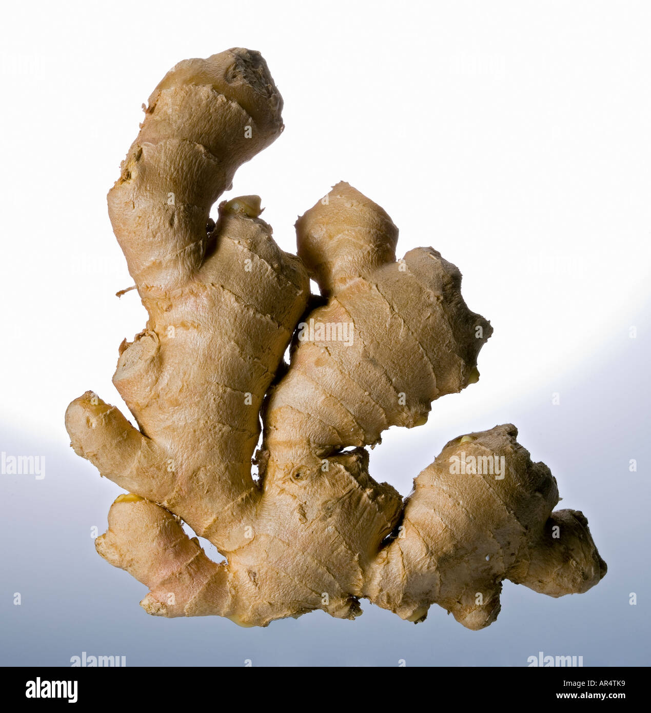Herb root hi-res stock photography and images - Alamy