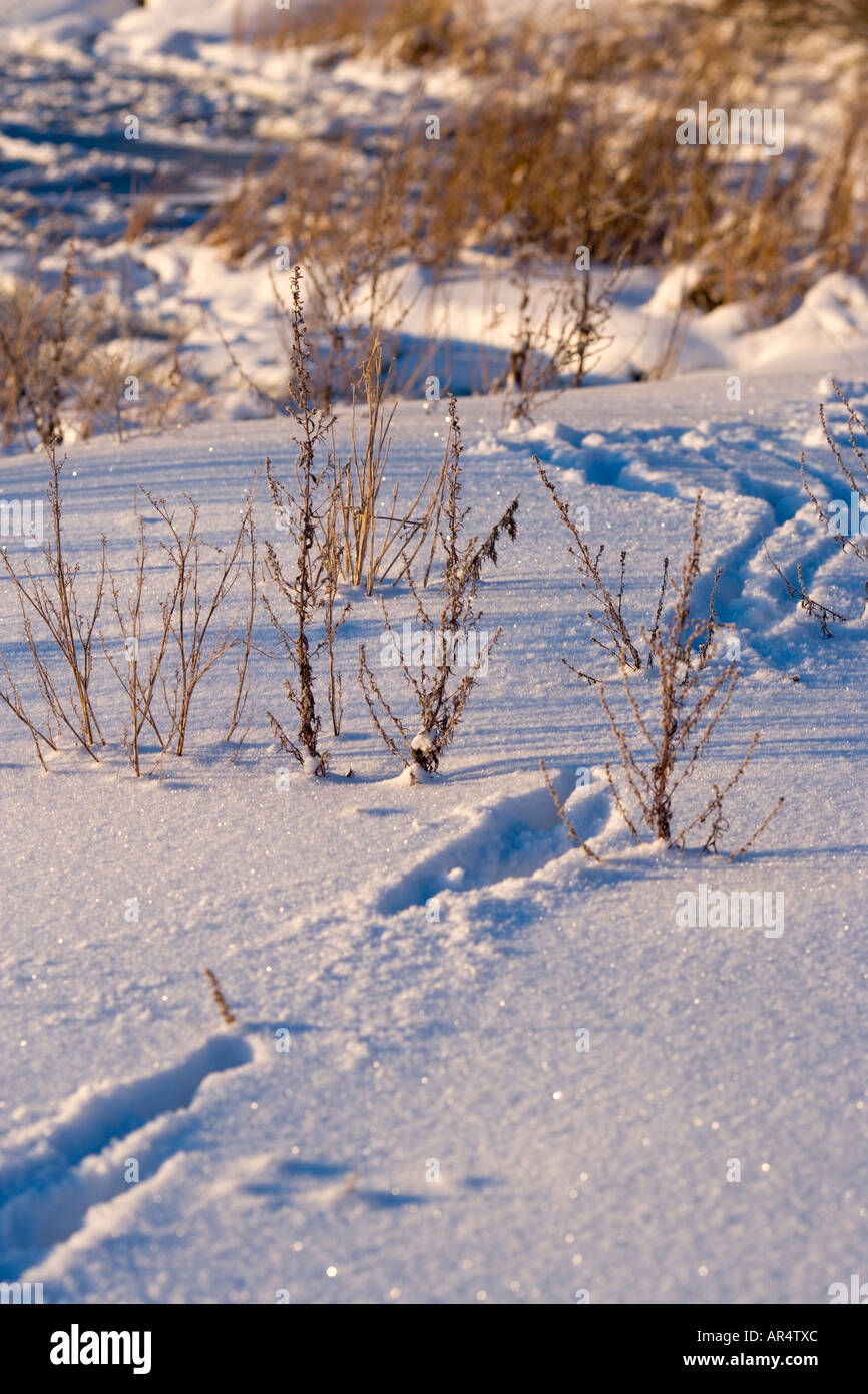 Tracks vertical hi-res stock photography and images - Alamy