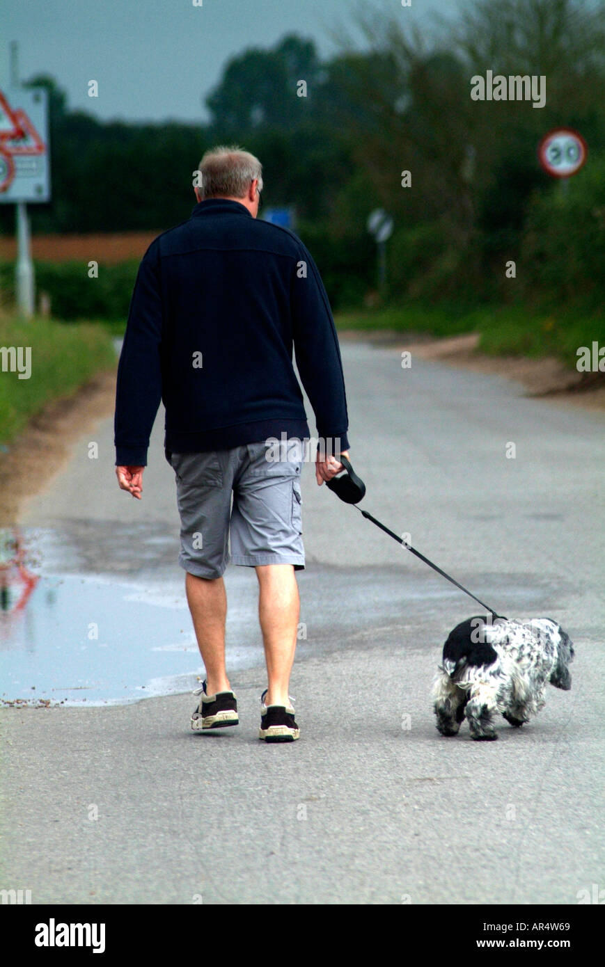 man walking dog Stock Photo - Alamy
