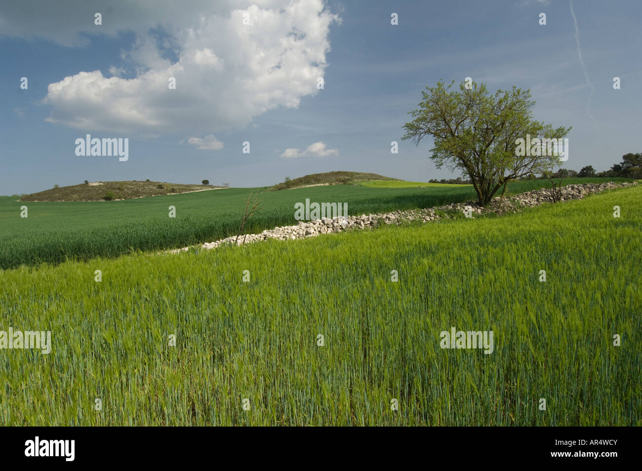 Panadella hi-res stock photography and images - Alamy