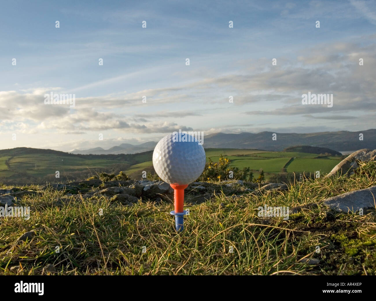 Golf Ball on tee Stock Photo - Alamy