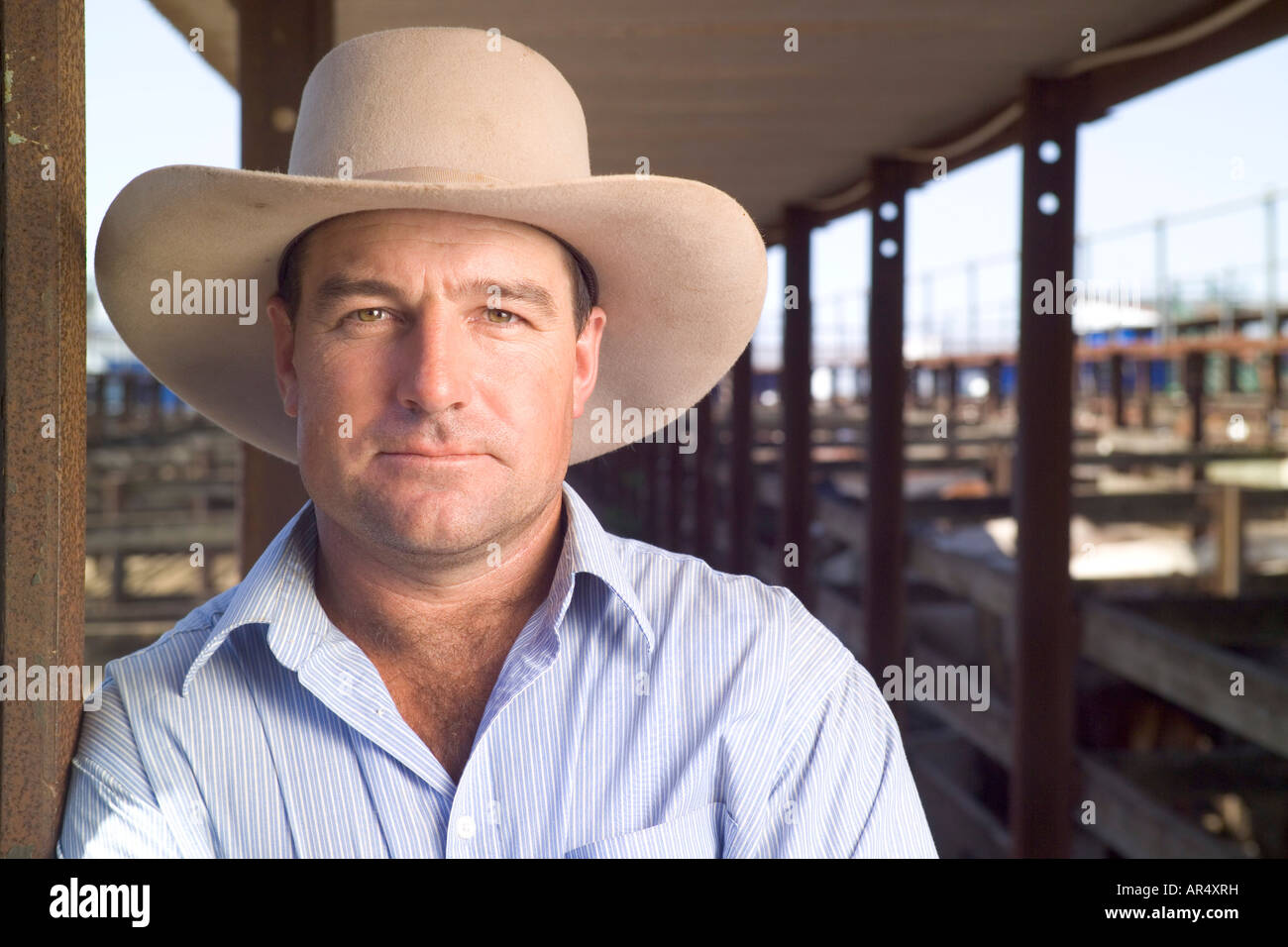 Australian cattle farmer hi-res stock photography and images - Alamy