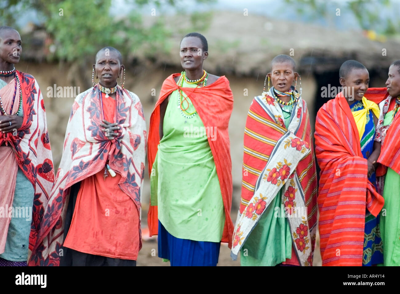 The Masai tribe of East Africa in typical dwelling on the Masai Mara ...