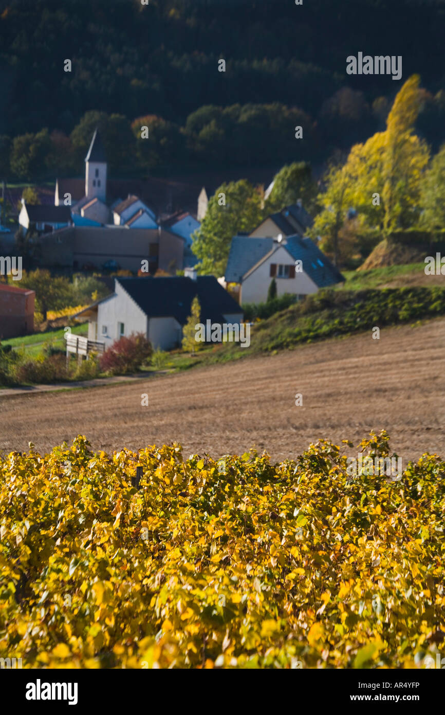 Haute côte de beaune hi-res stock photography and images - Alamy