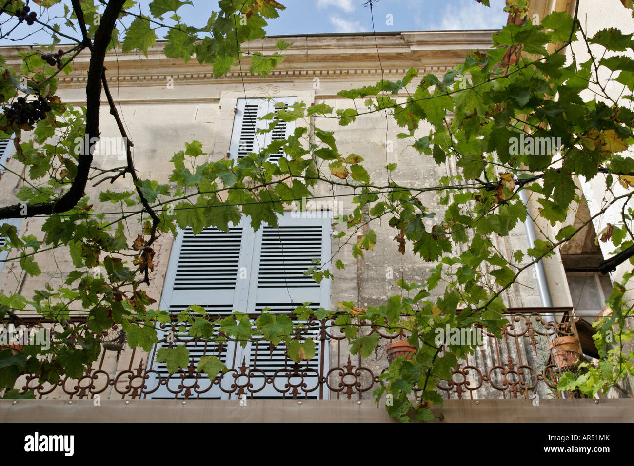 Shuttered house with vines Stock Photo - Alamy