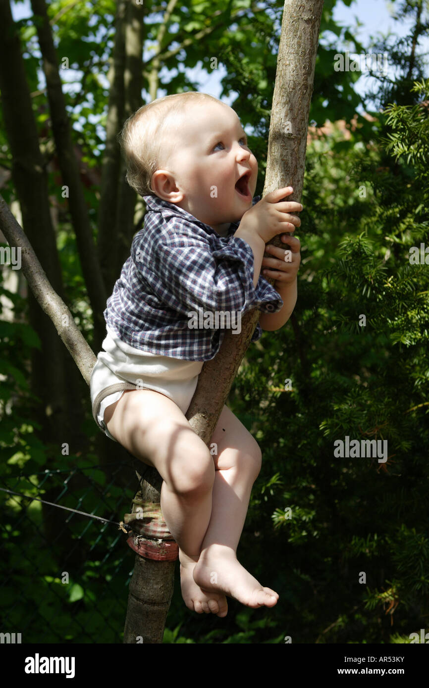 A baby on a tree in a garden, Strande, Germany Stock Photo - Alamy