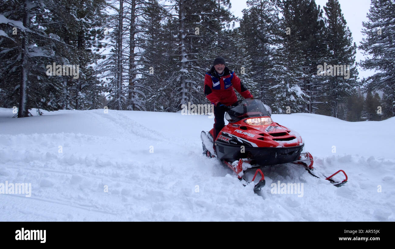 Snowmobiling in Inyo forest California USA Stock Photo - Alamy