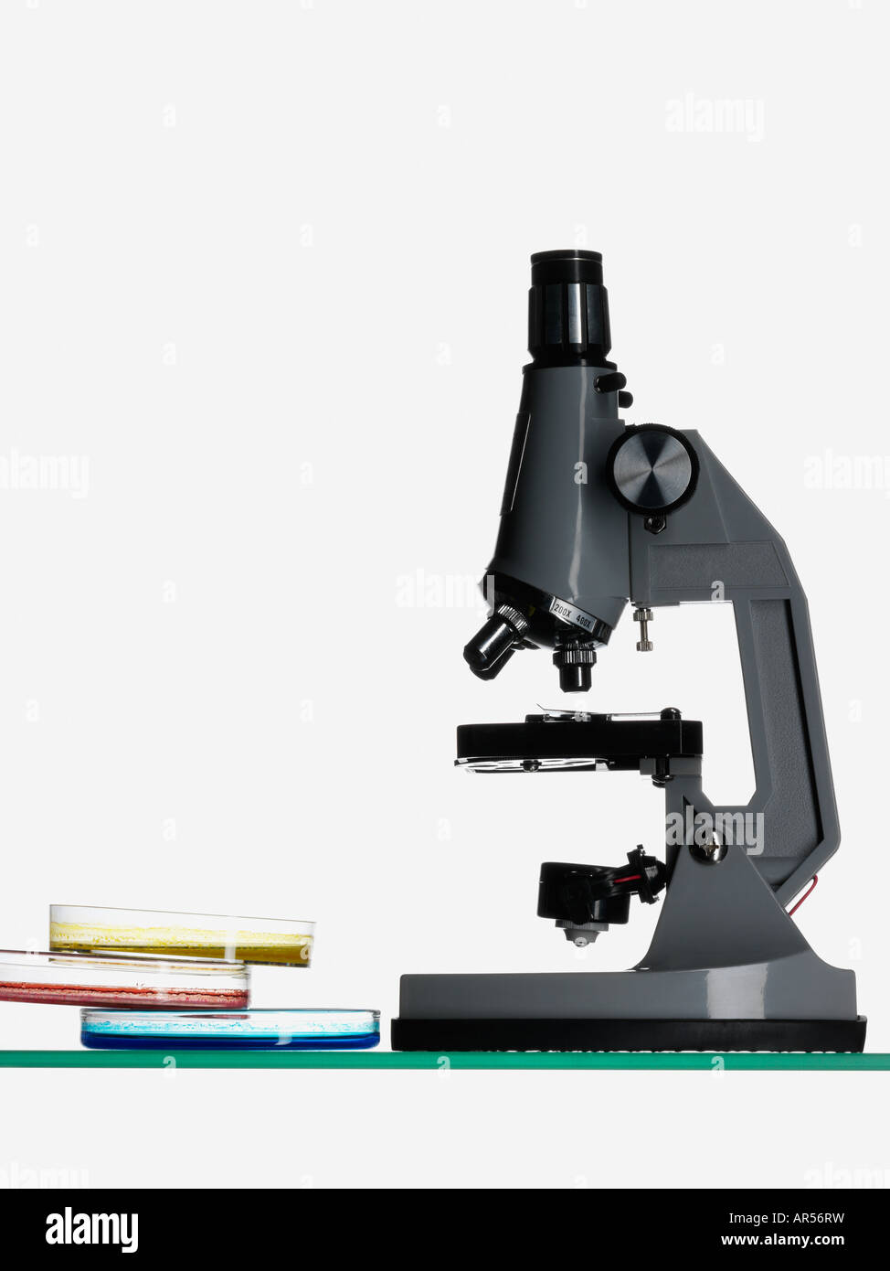 Microscope and petri dishes Stock Photo - Alamy