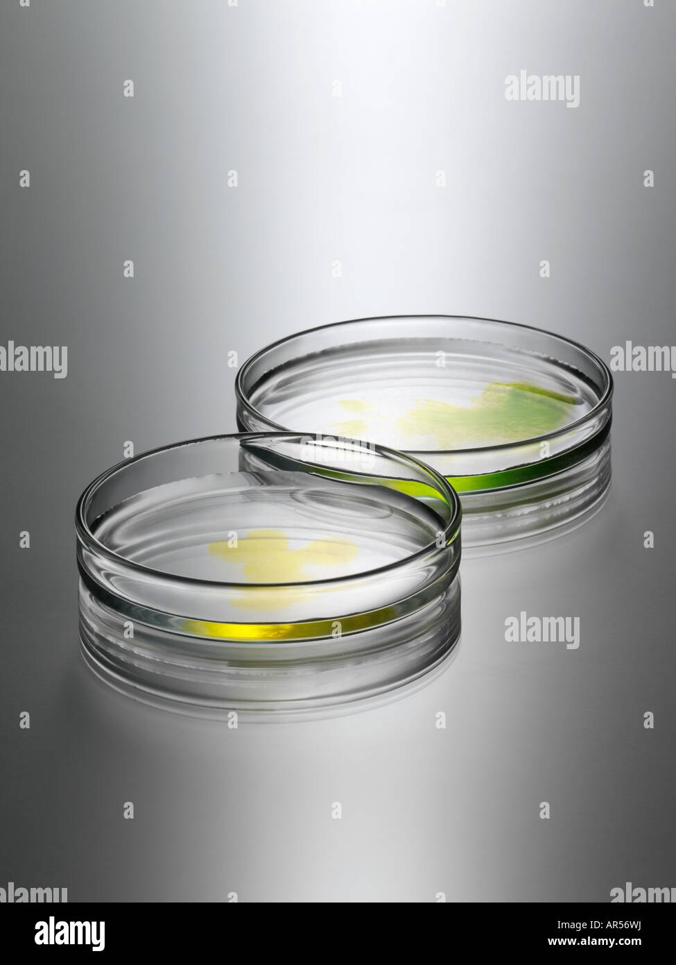 Petri dishes hi-res stock photography and images - Alamy