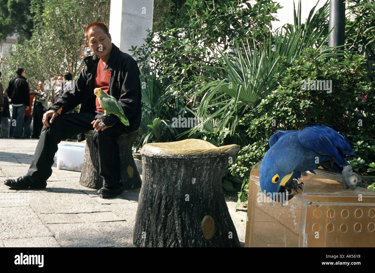A Chinese man with a blue parrot at Yuen Po Bird Park in Hong Kong ...