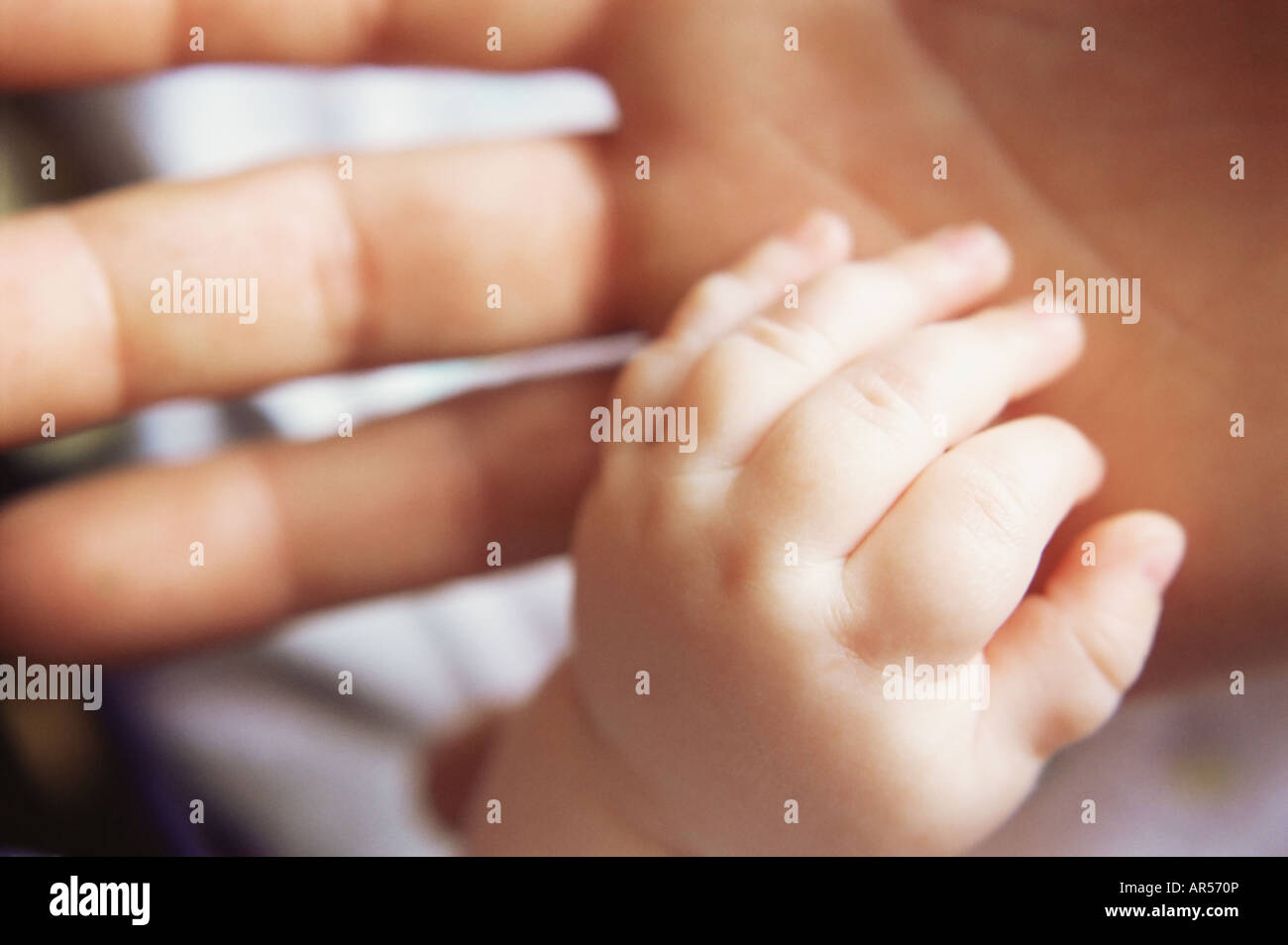 Baby and adult hands Stock Photo - Alamy