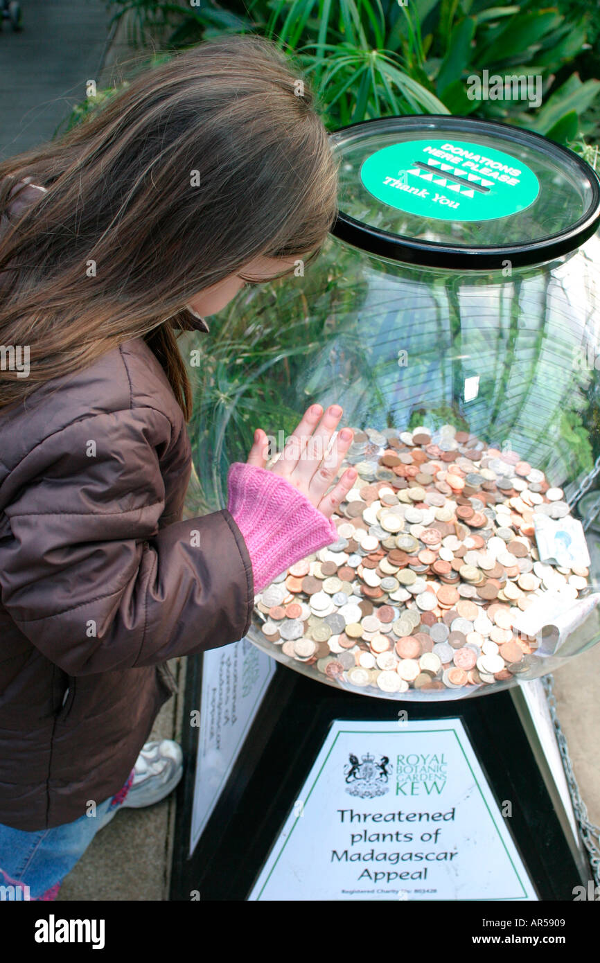 Charity collection box hi-res stock photography and images - Alamy