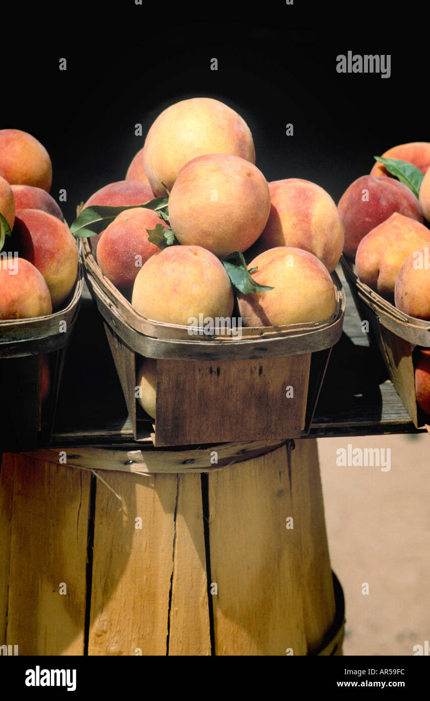 Georgia Peaches for sale at farmers market on the road side of the ...