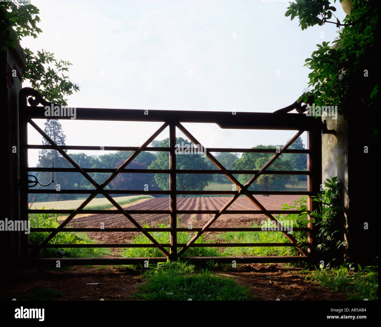 Gate and furrowed field behind Stock Photo - Alamy