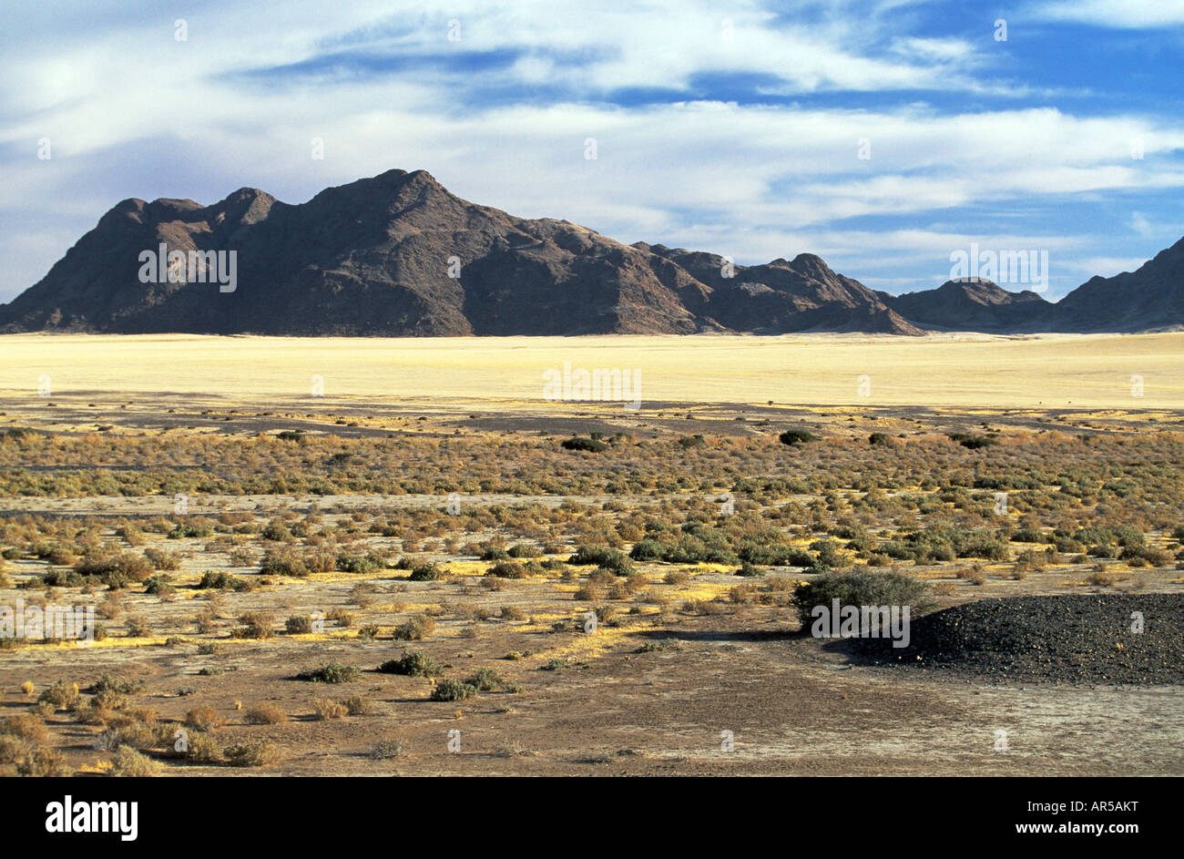 Sweltering desert environment hi-res stock photography and images - Alamy