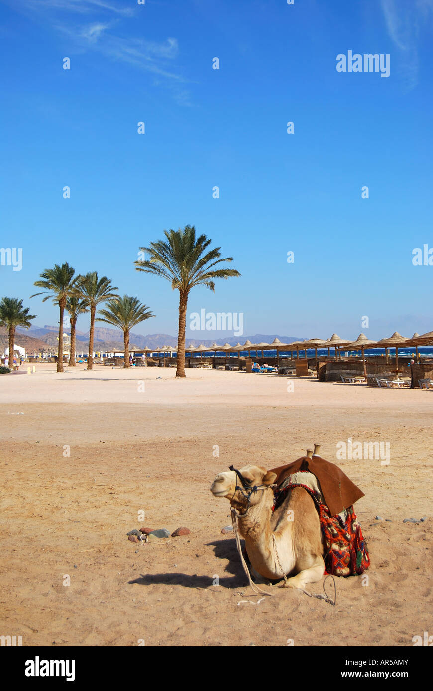 Sofitel taba hi-res stock photography and images - Alamy