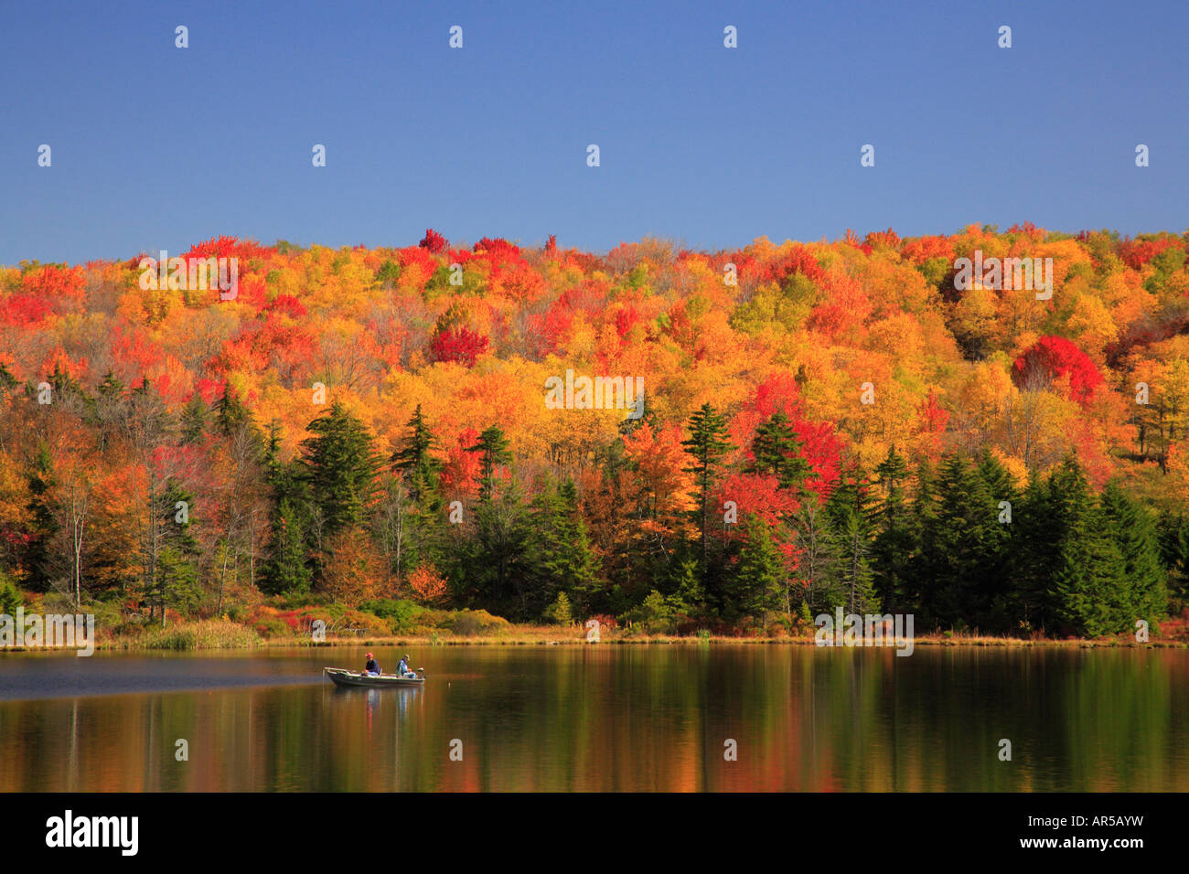 Spruce knob lake west virginia hi-res stock photography and images - Alamy