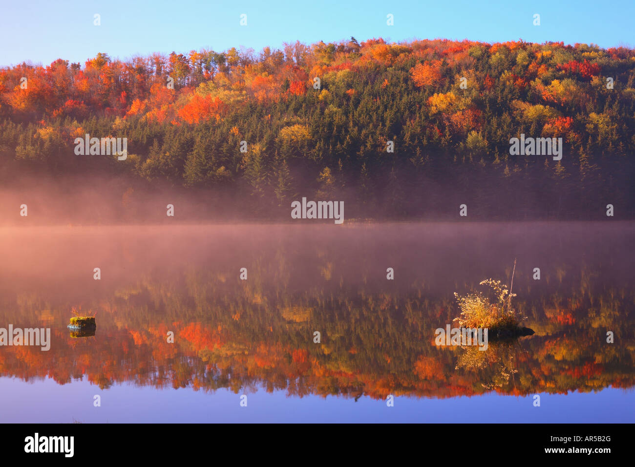 Spruce knob lake west virginia hi-res stock photography and images - Alamy