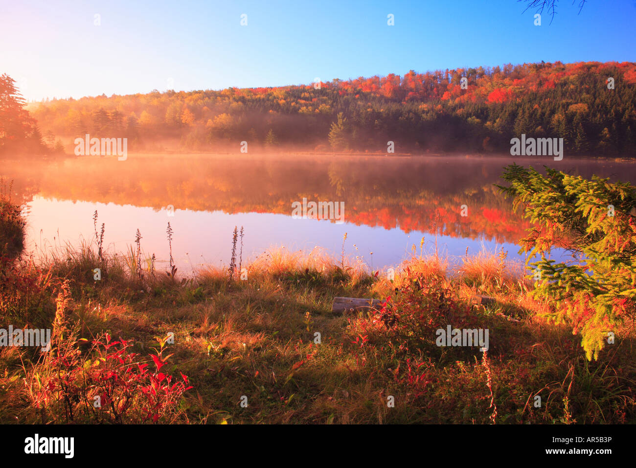 Sunrise on Spruce Knob Lake, Spruce Knob, Judy Gap, West Virginia, USA ...