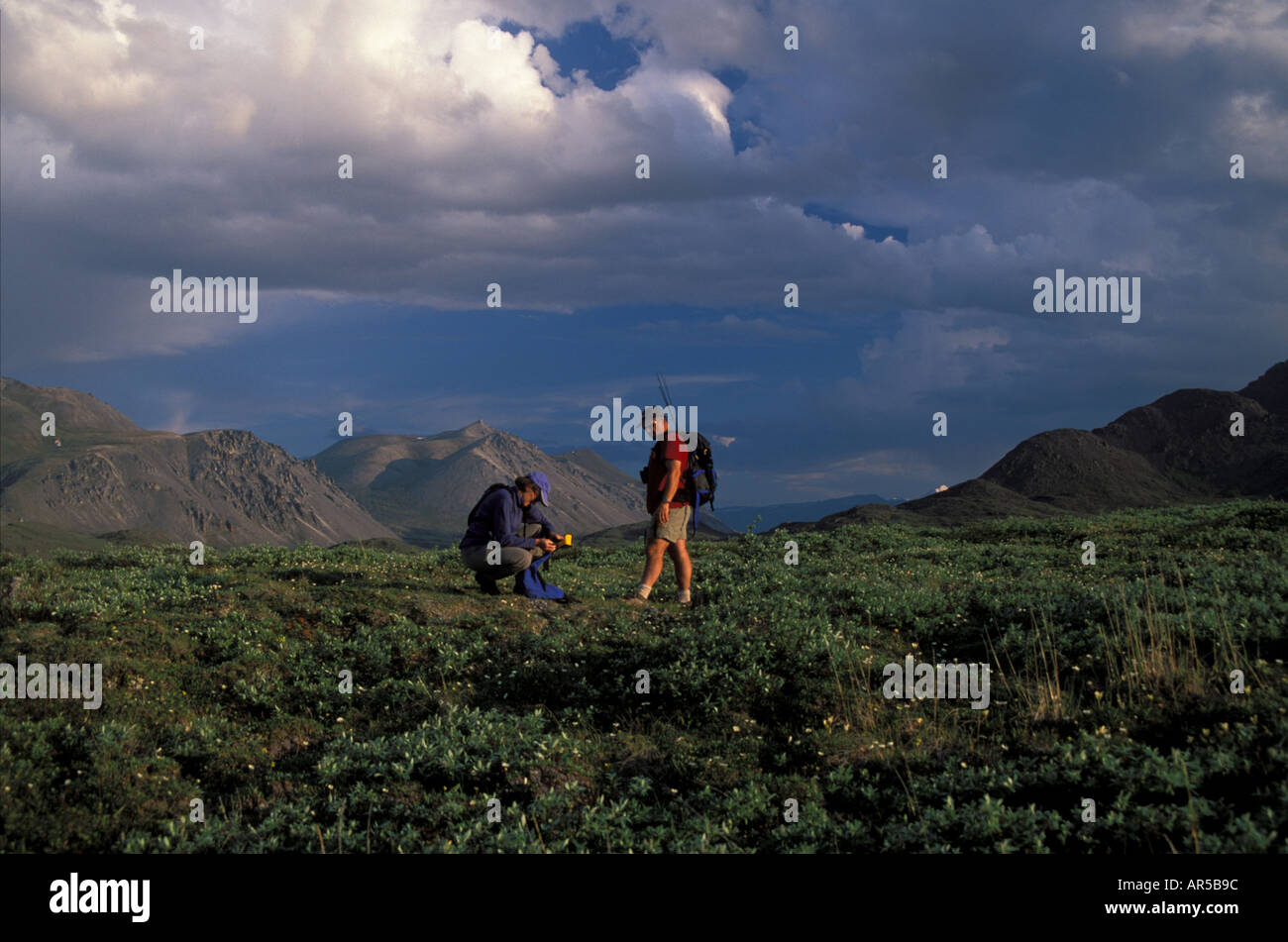 The brooks range tundra hi-res stock photography and images - Alamy