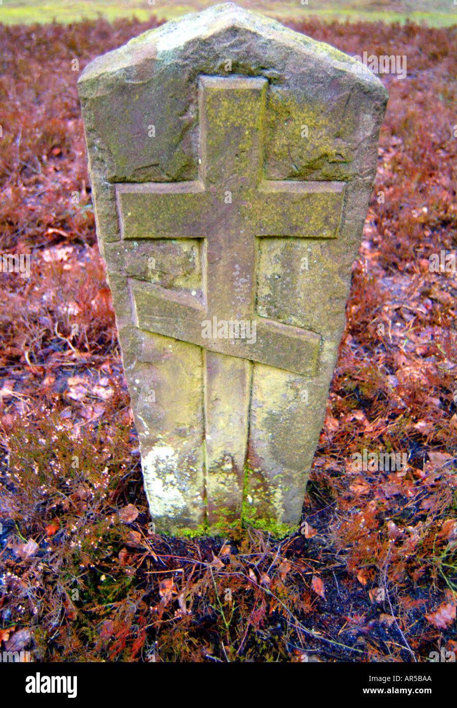 Bergen belsen 1940 1945 hi-res stock photography and images - Alamy