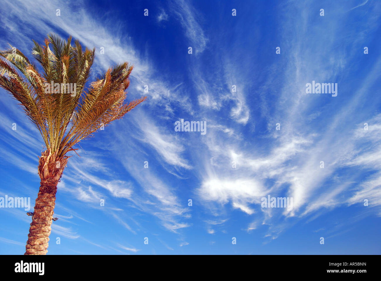 Beach view, Hotel Sofitel Taba Heights, Taba Heights, Sinai Peninsula ...
