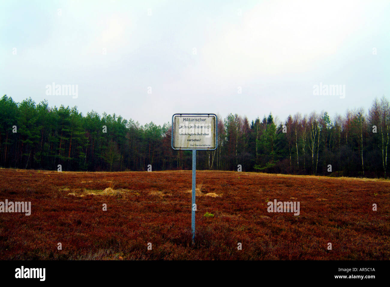 Bergen belsen 1940 1945 hi-res stock photography and images - Alamy