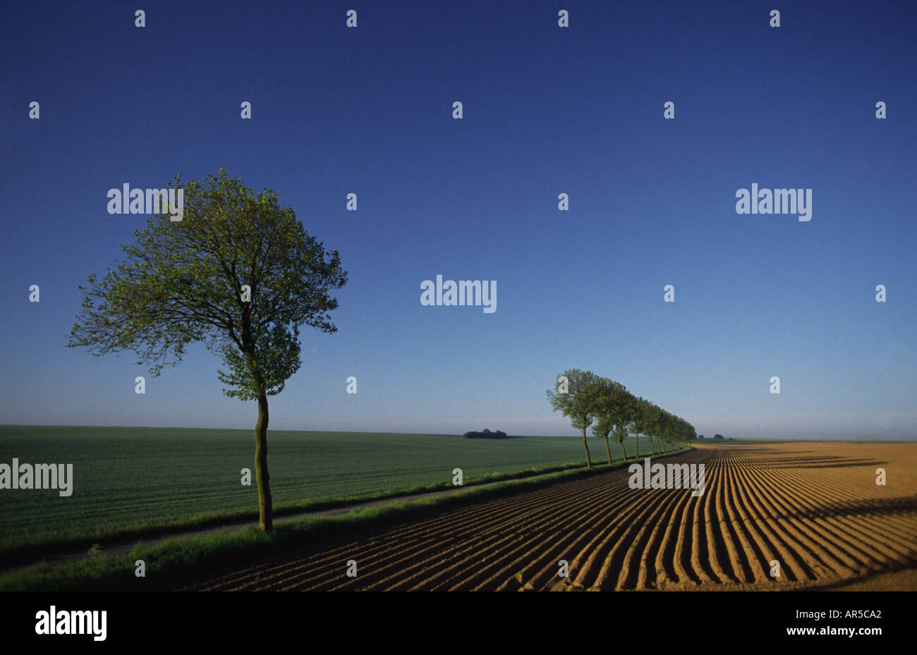 A landscape in Piccardy, France Stock Photo - Alamy