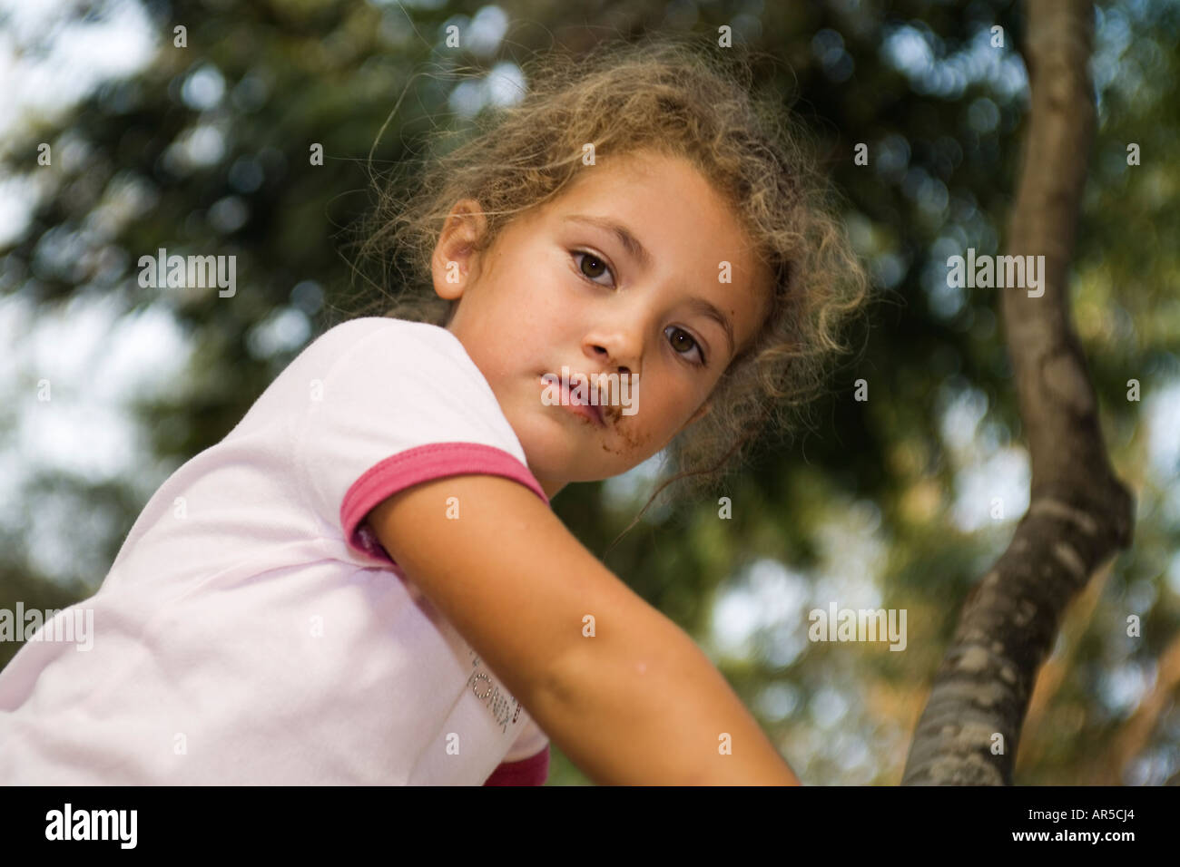 Little six years old girl climbing on the tree Stock Photo - Alamy