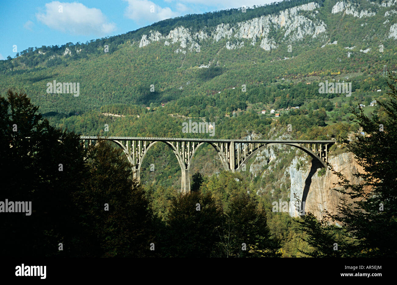 Tara bridge montenegro Stock Photo - Alamy