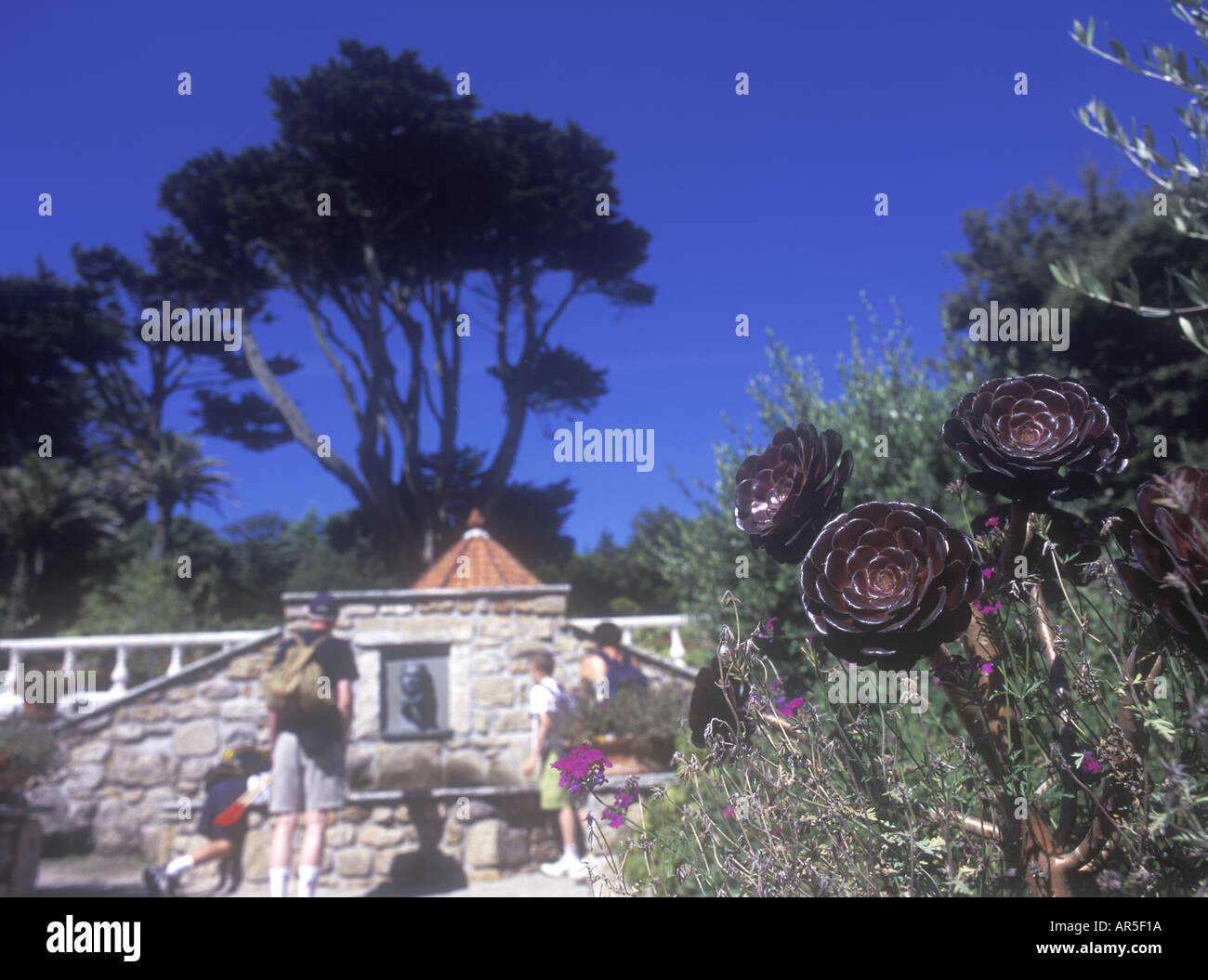 Tresco Abbey Gardens Scilly Islands Stock Photo - Alamy
