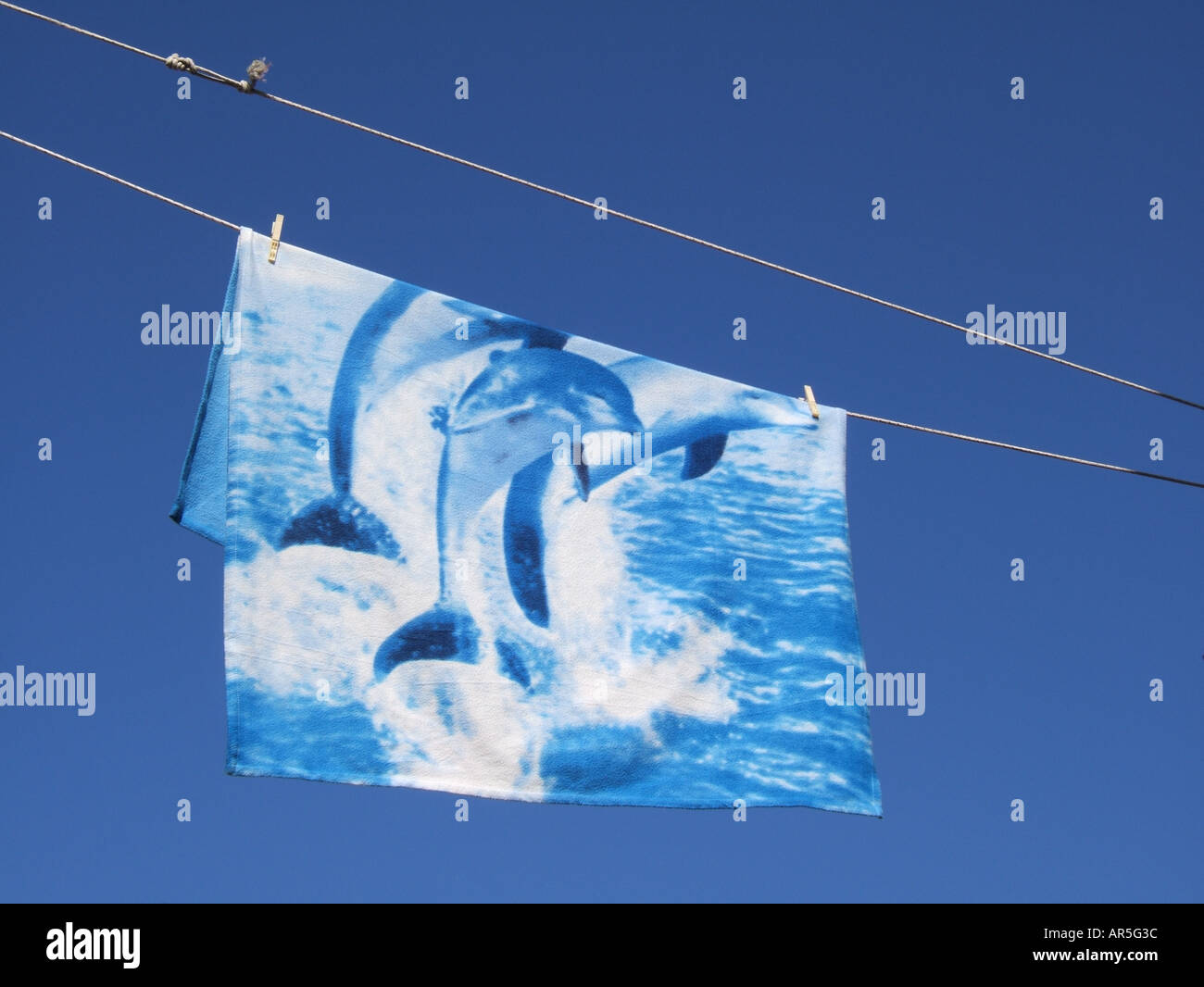 three dolphins on towel on washing line Stock Photo - Alamy