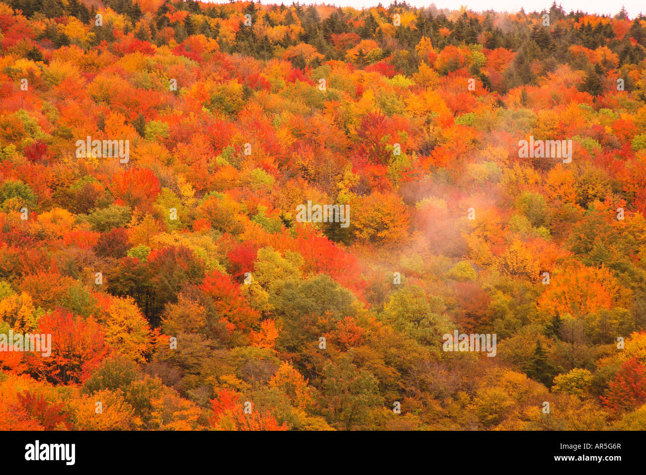 Highlands Scenic Highway, Mill Point, West Virginia, USA Stock Photo ...
