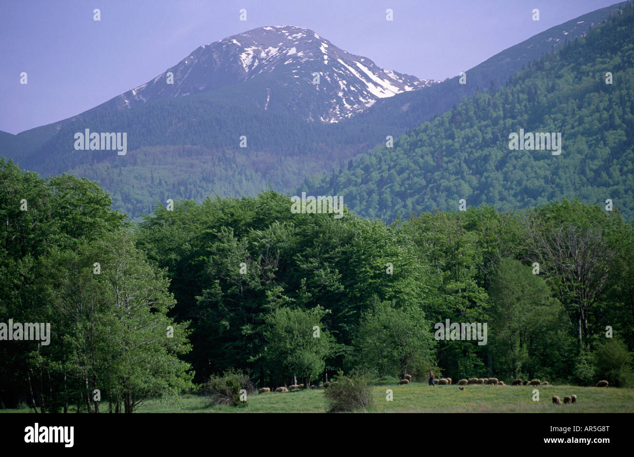BALKAN VALLEY BULGARIA Stock Photo - Alamy