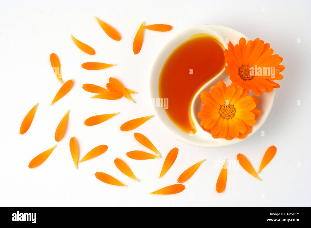 Marigold oil Calendula officinalis Stock Photo - Alamy
