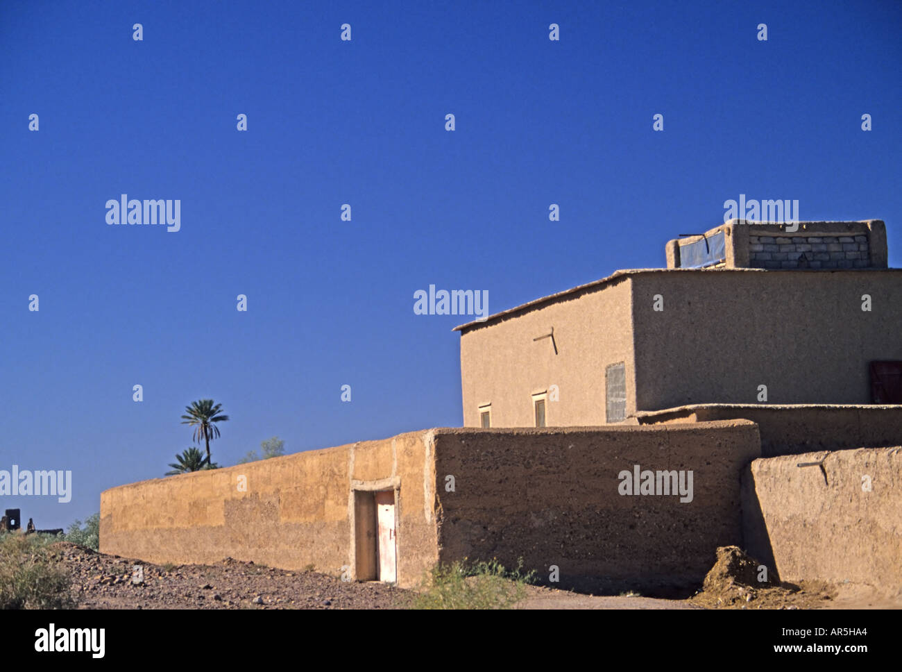 adobe building and palm trees in Morocco, North Africa Stock Photo - Alamy
