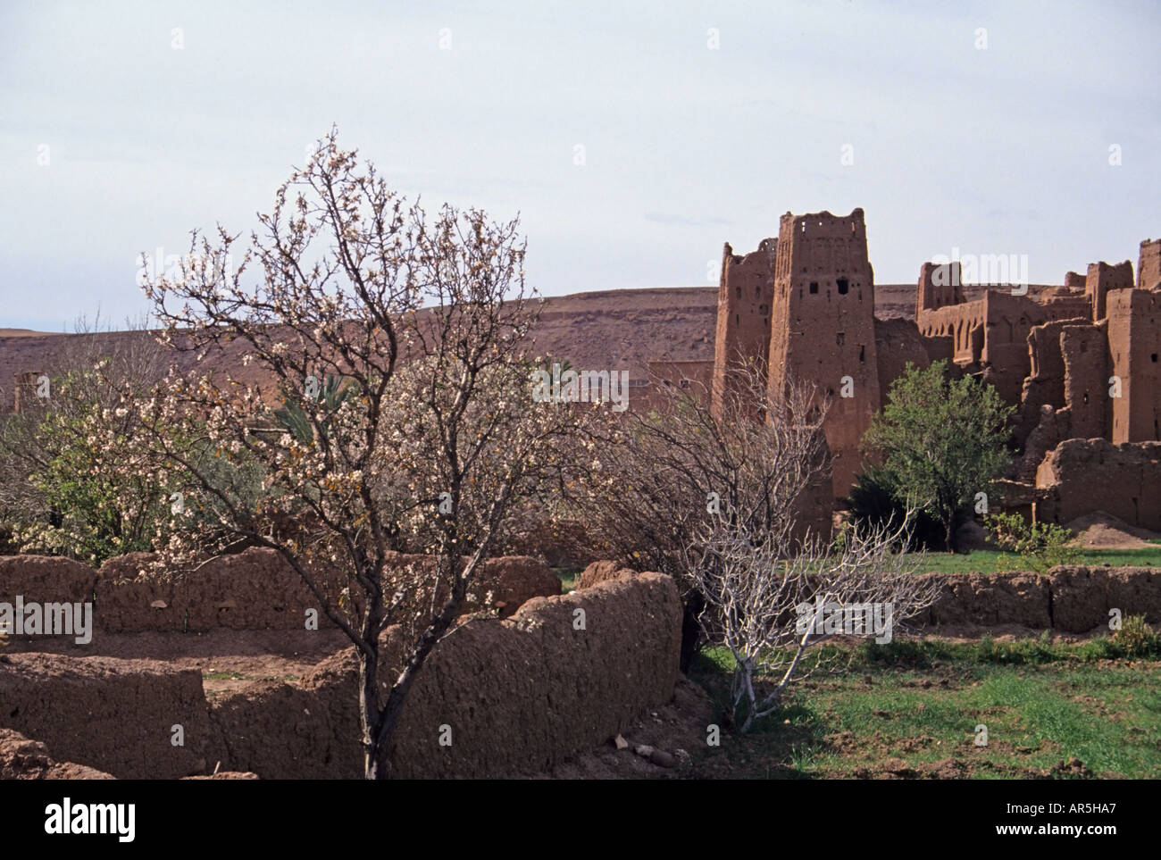 Adobe building in Morocco North Africa Stock Photo - Alamy