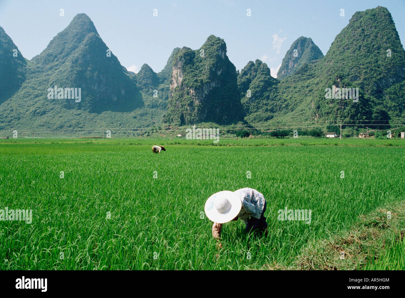 Farm workers in china Stock Photo - Alamy