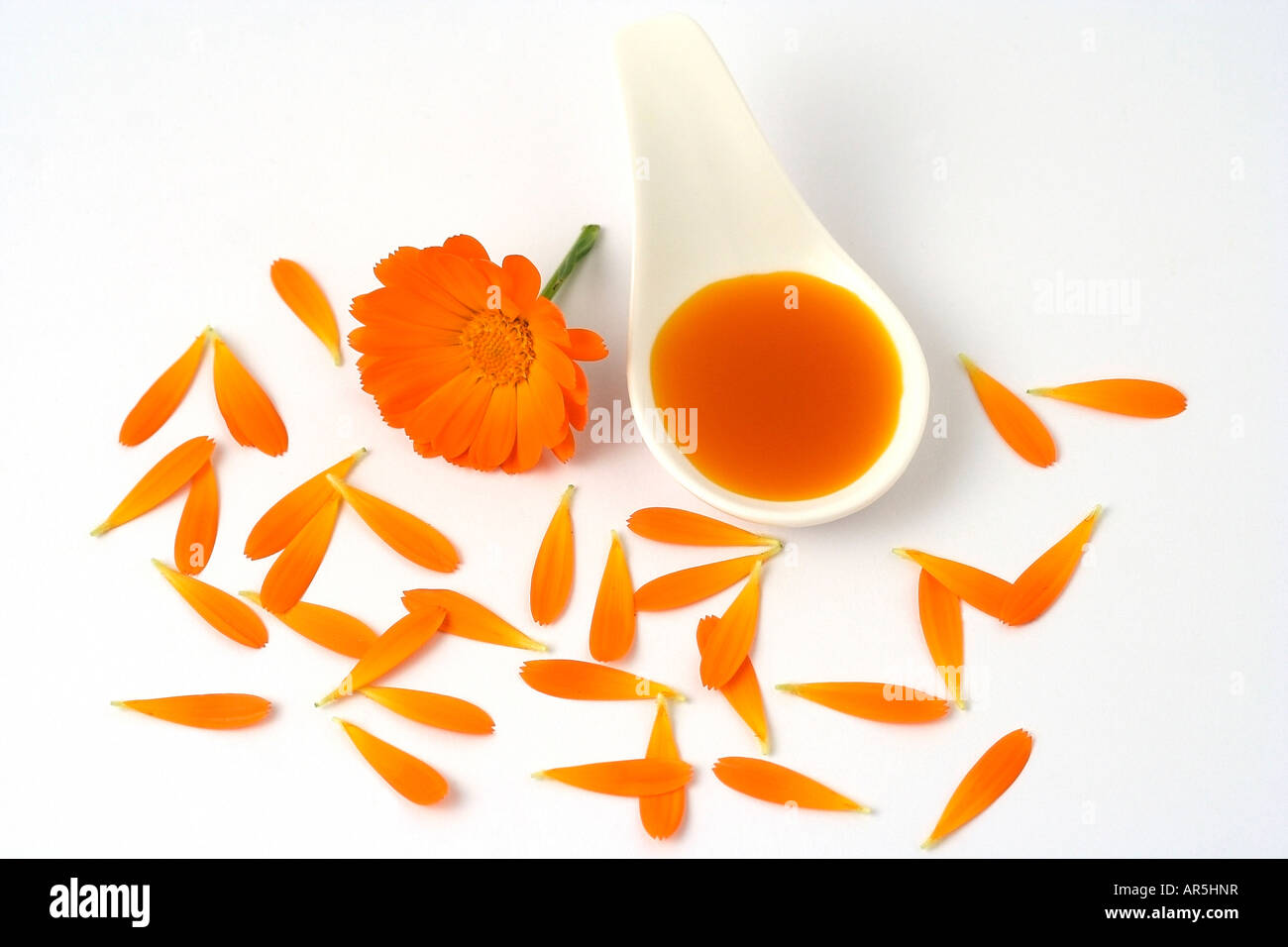 Marigold oil Calendula officinalis Stock Photo - Alamy