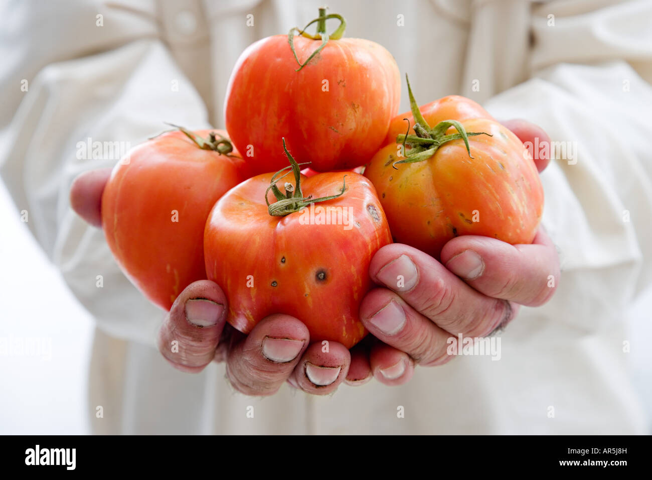 Man holding tomatoes Stock Photo - Alamy