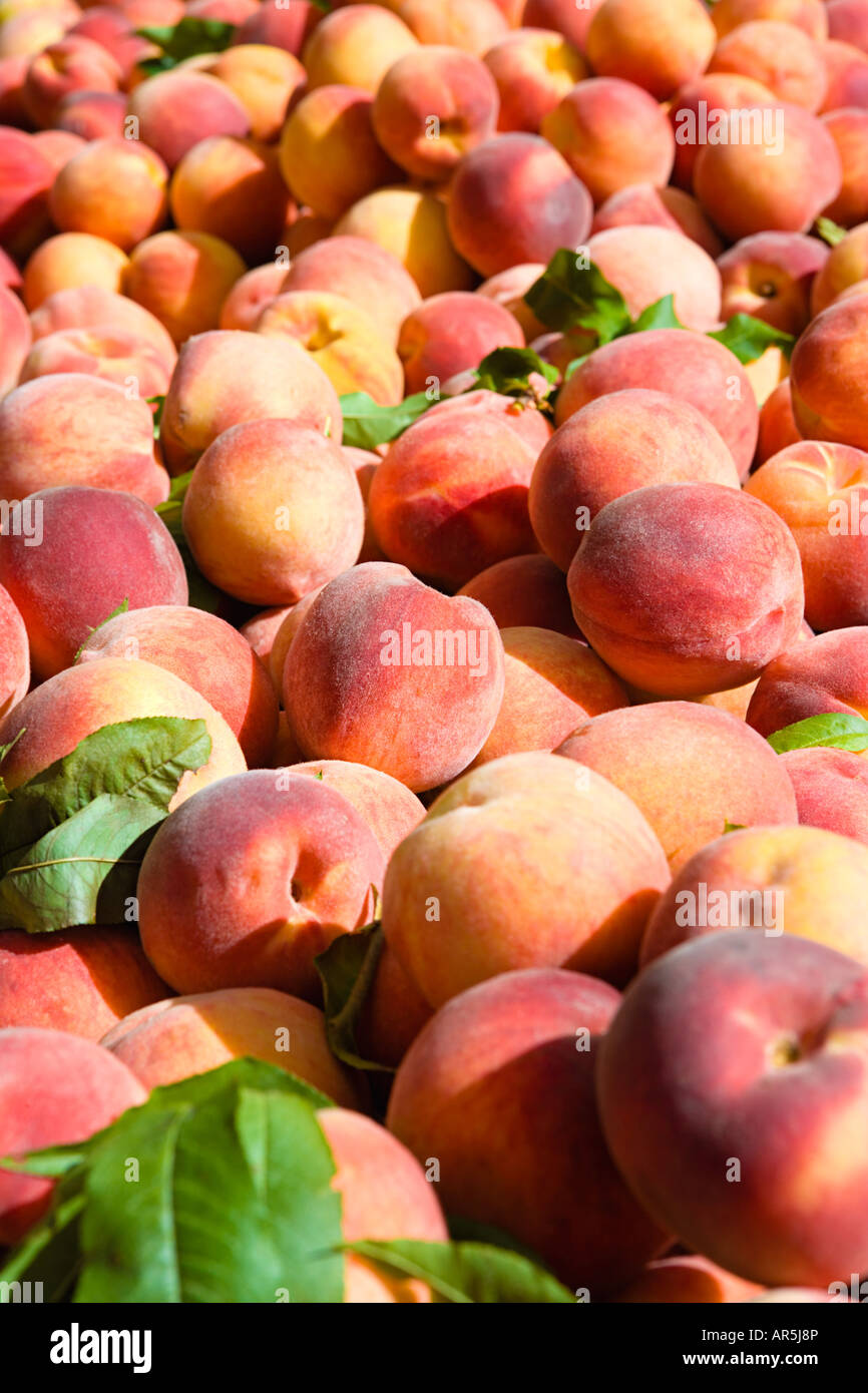 Luscious peaches hi-res stock photography and images - Alamy