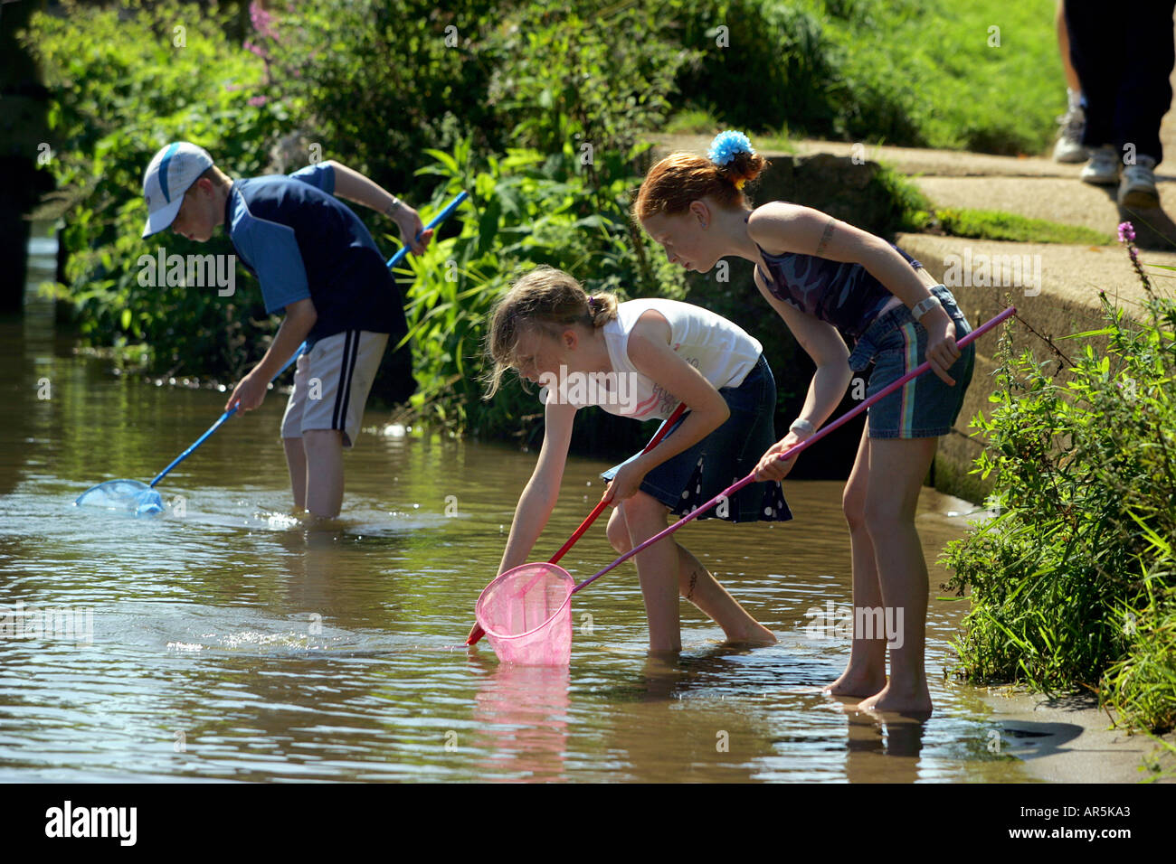 Teston country park hi-res stock photography and images - Alamy