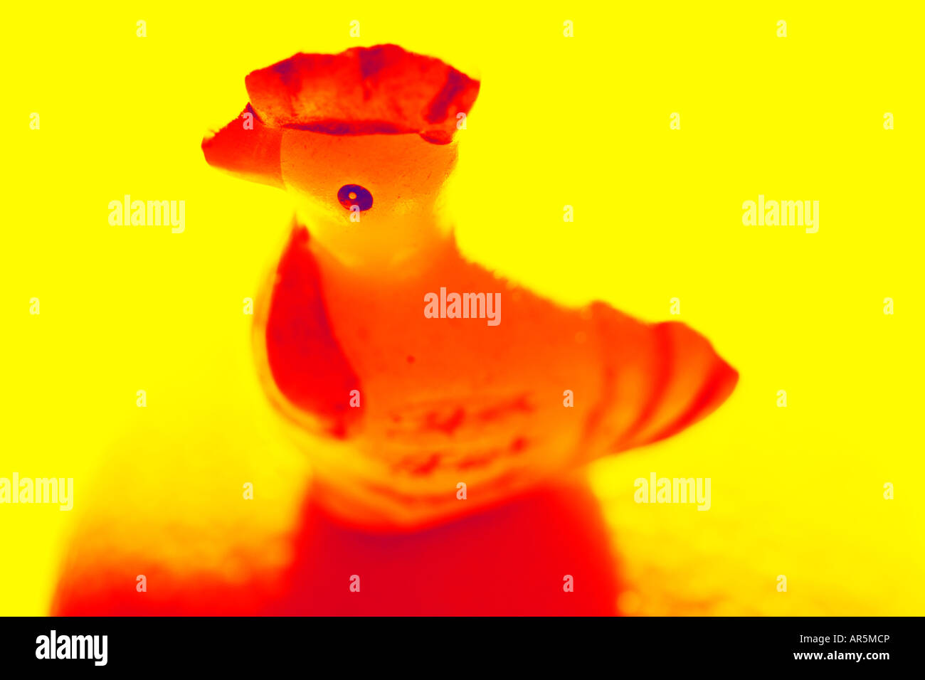 Concept chicken toy Stock Photo - Alamy