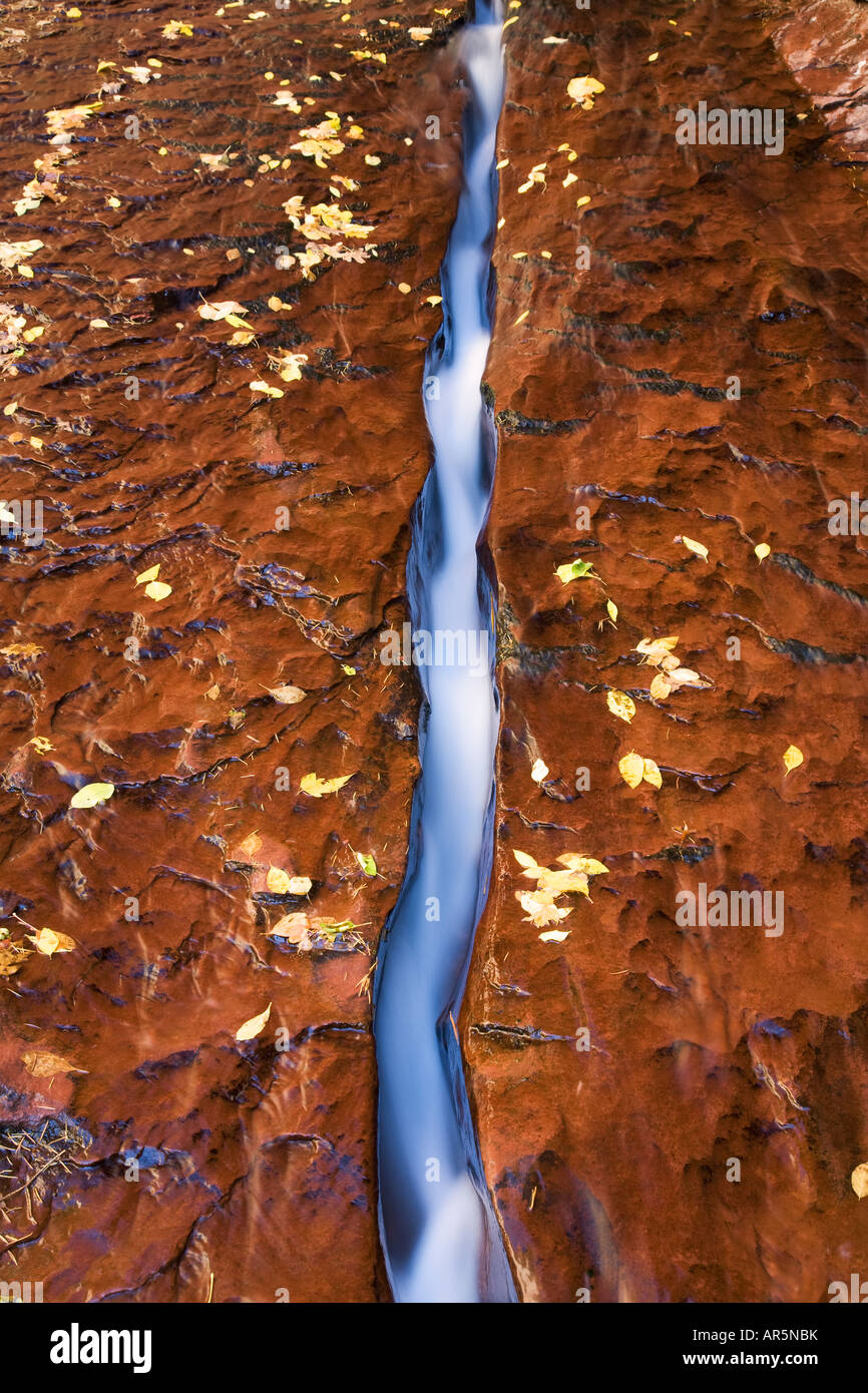 Left Fork of North Creek Zion National Park Utah Stock Photo - Alamy